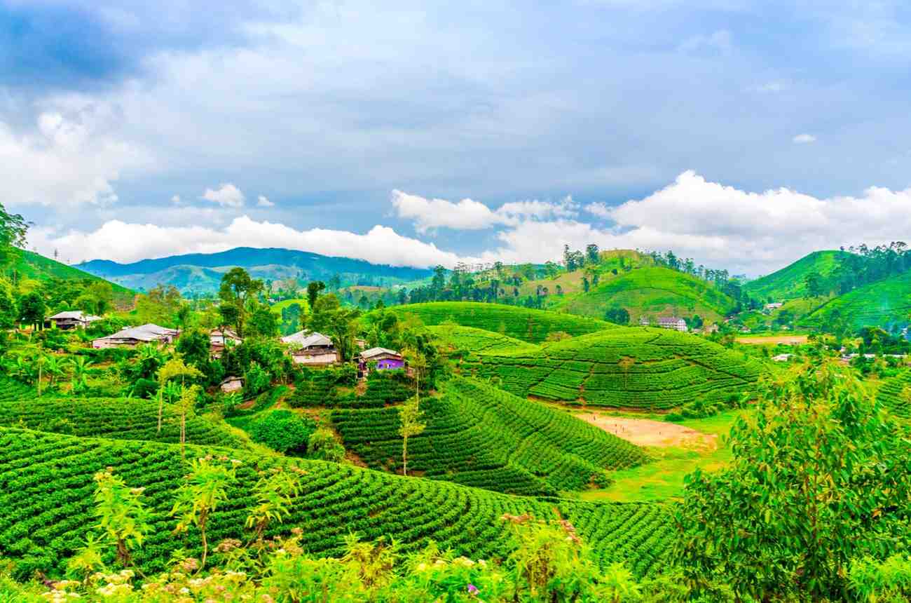 10 Things to Do in Darjeeling - Ultimate Travel Guide