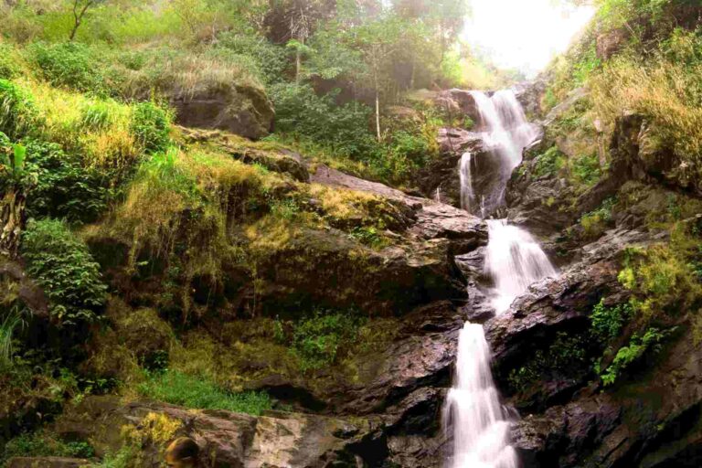 25 Best Places to Visit in Winter in India